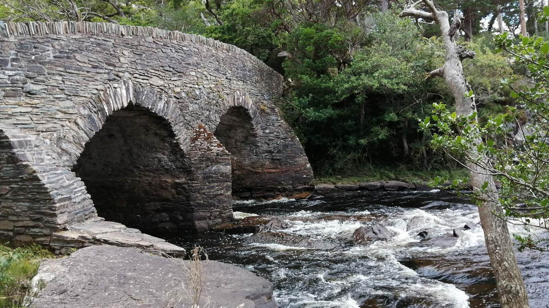 Lakes & Mountains Of Killarney | Tourist Attraction | Dromhall Hotel