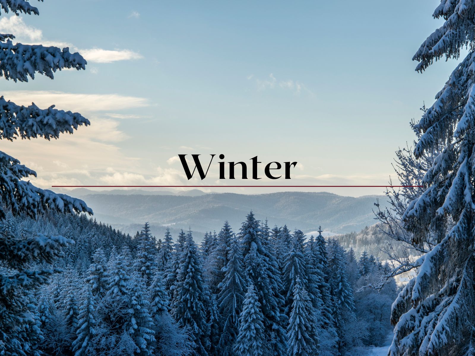 Dromhall Hotel Killarney | 4* Hotel In Kerry | Official Website