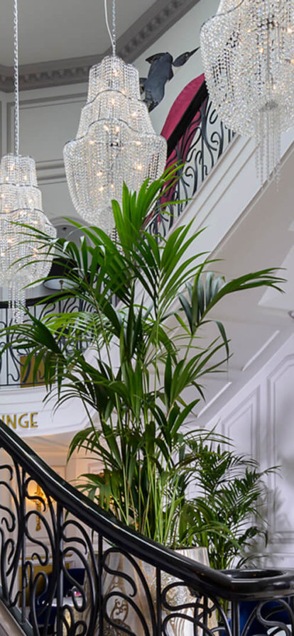 Dromhall Hotel Killarney | 4* Hotel In Kerry | Official Website